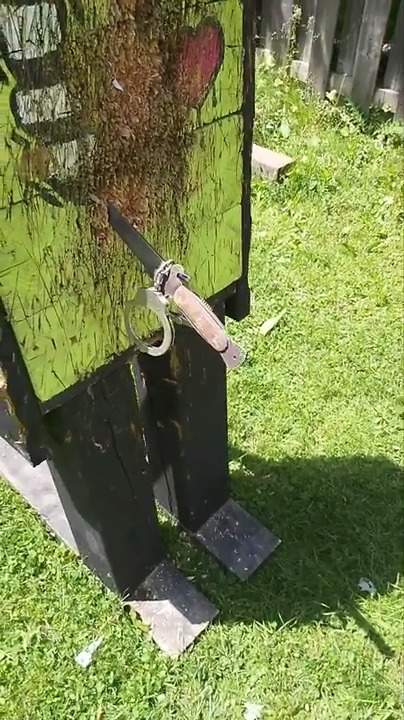 Guy Demonstrating Knife-Throwing Skills Pins Handcuffs on Target Board ...