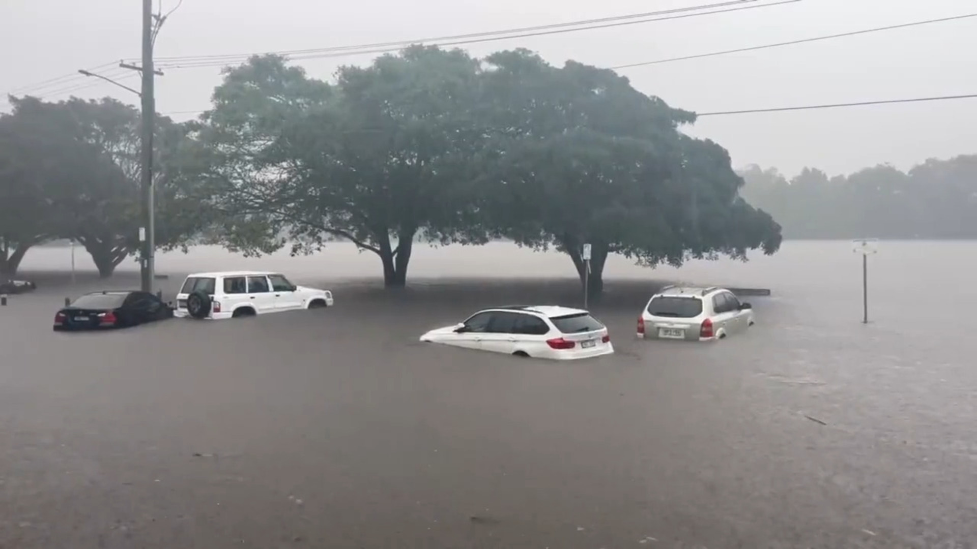 Person Watches Cars Floating in Water During Heavy Flood in Sydney ...