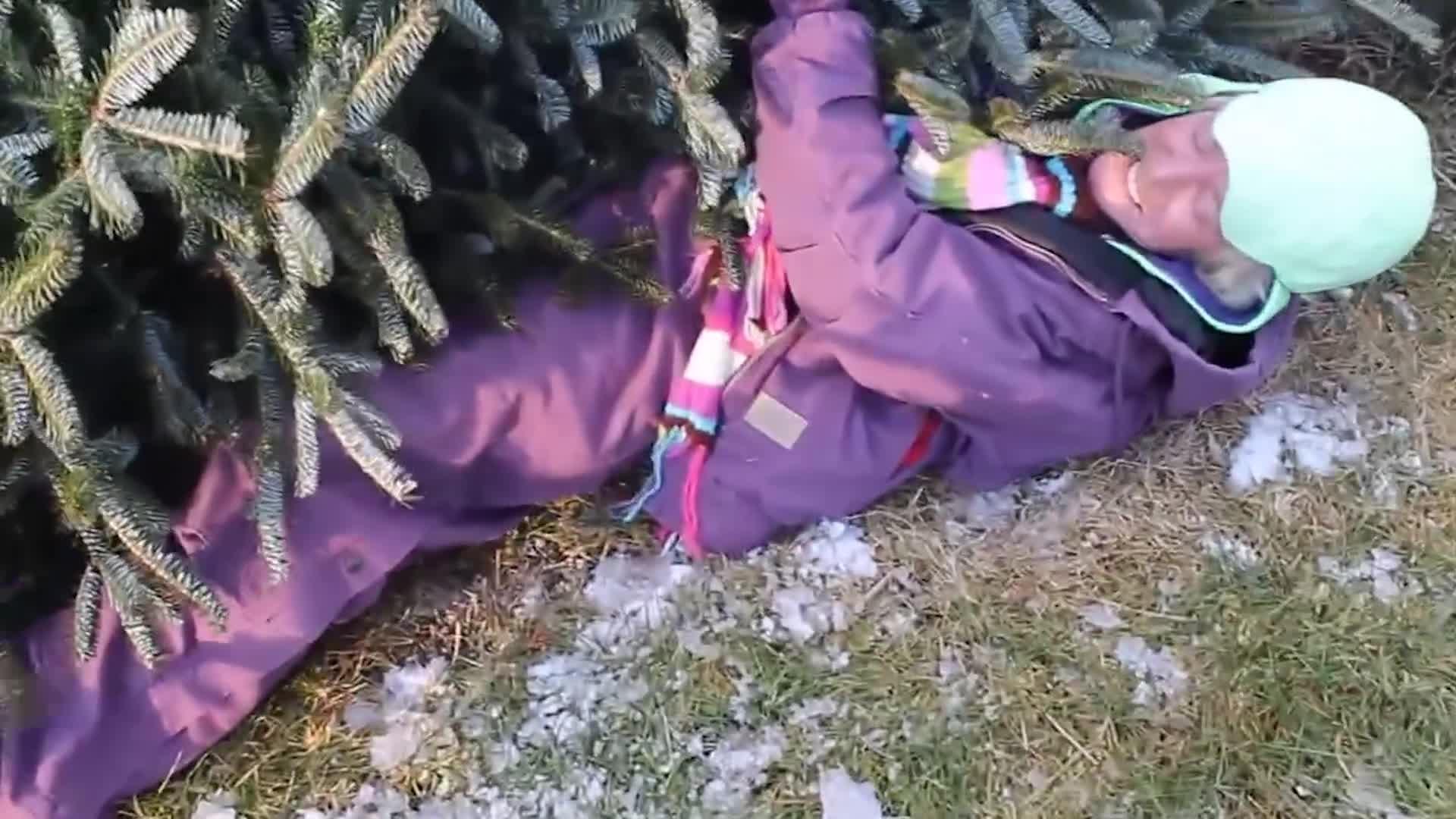 Grandma Gets Knocked Over by Christmas Tree | Jukin Licensing