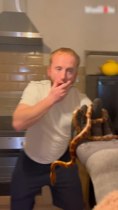 Man Freaks Out Hilariously When His Partner Gets Small Snake Near Him ...