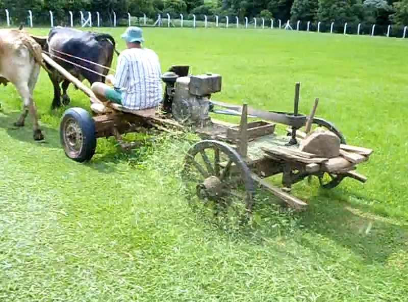 Redneck Lawn Mower | Jukin Licensing