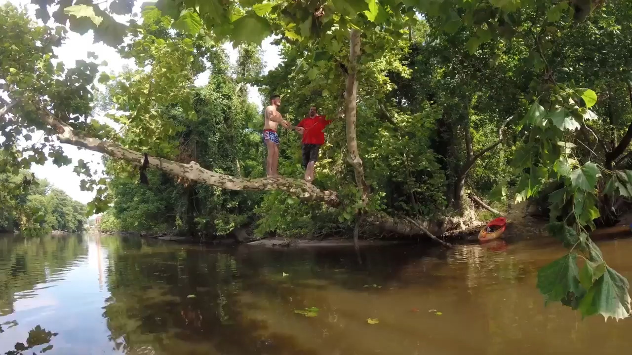 Two Guys Attempt Jumping Off Tree Log Into Water | Jukin Licensing