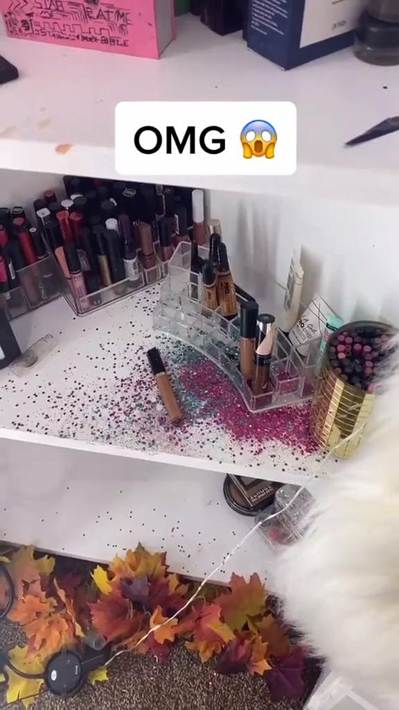 Little Girls Spill Mom's Makeup All Over the Room While Trying it on ...