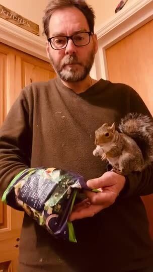 Squirrel and Dad Bond Over Snacks | Jukin Licensing