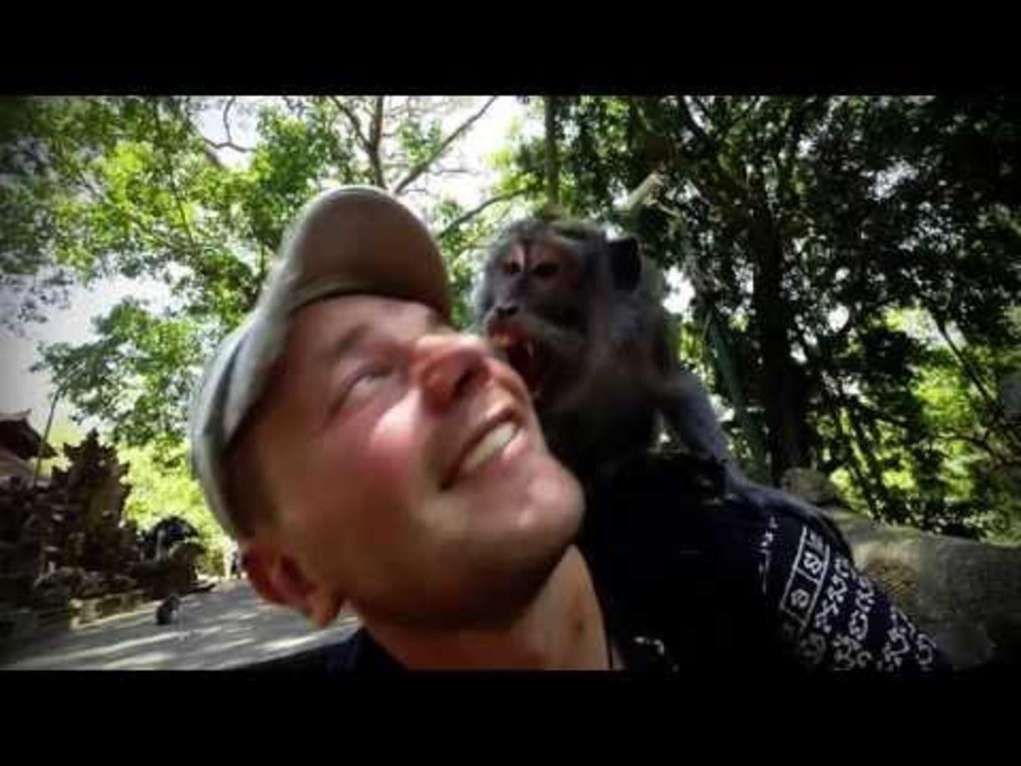 Monkey Tries to Bite Man | Jukin Licensing