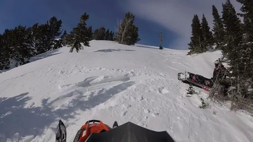 Person Riding Snowmobile Falls After Crashing into Small Tree | Jukin ...