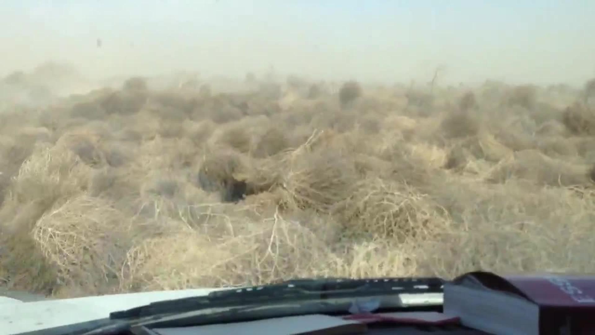 Car Gets Caught in Tumbleweed Storm | Jukin Licensing