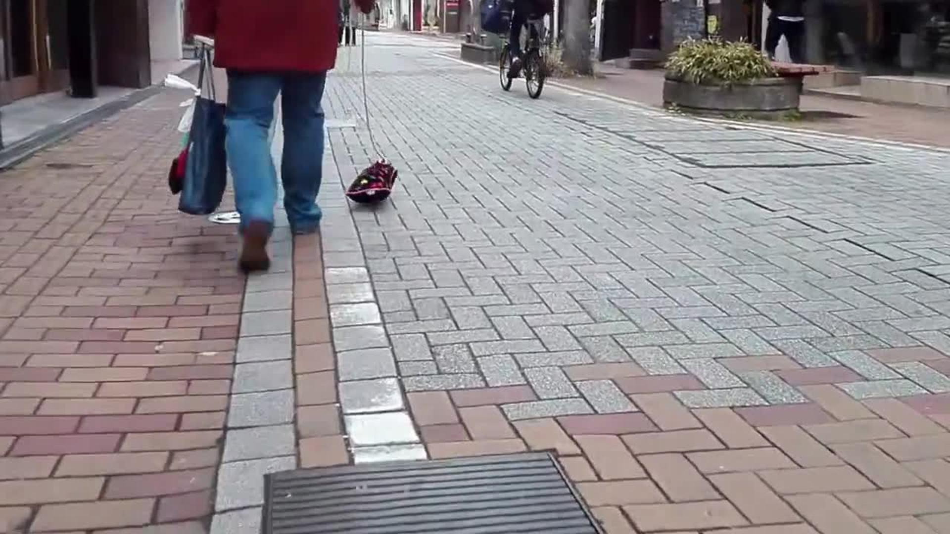 Walking an Invisible Dog | Jukin Licensing