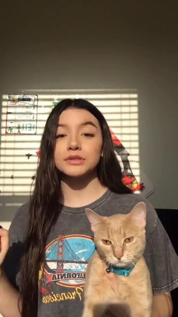 Cat Slaps Girl When She Tries to Cuddle With Them | Jukin Licensing