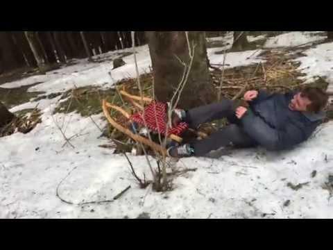 Guy on Sled Runs Into Tree | Jukin Licensing