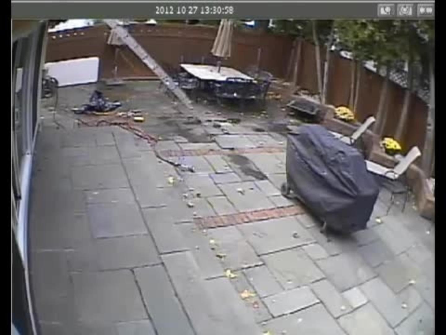 Surveillance Man Falls off Ladder | Jukin Licensing