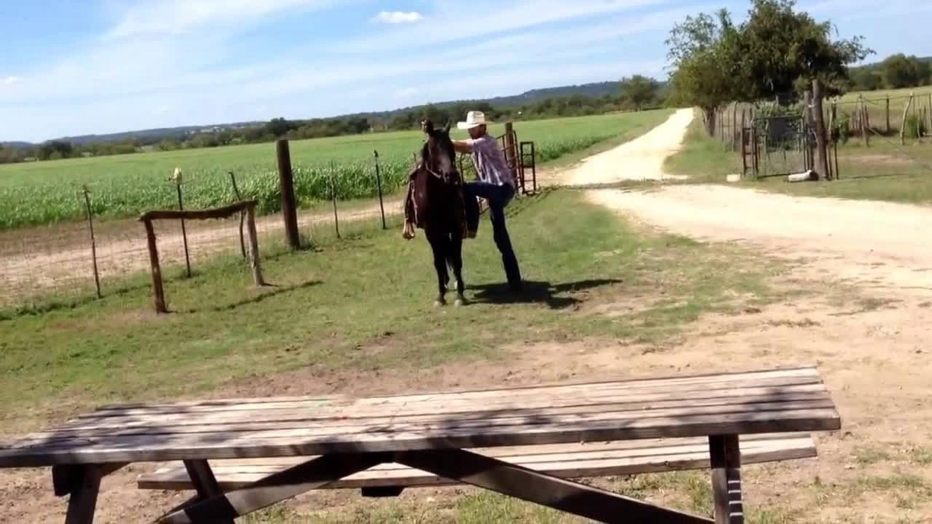 Cowboy Breaking Horse Fail | Jukin Licensing