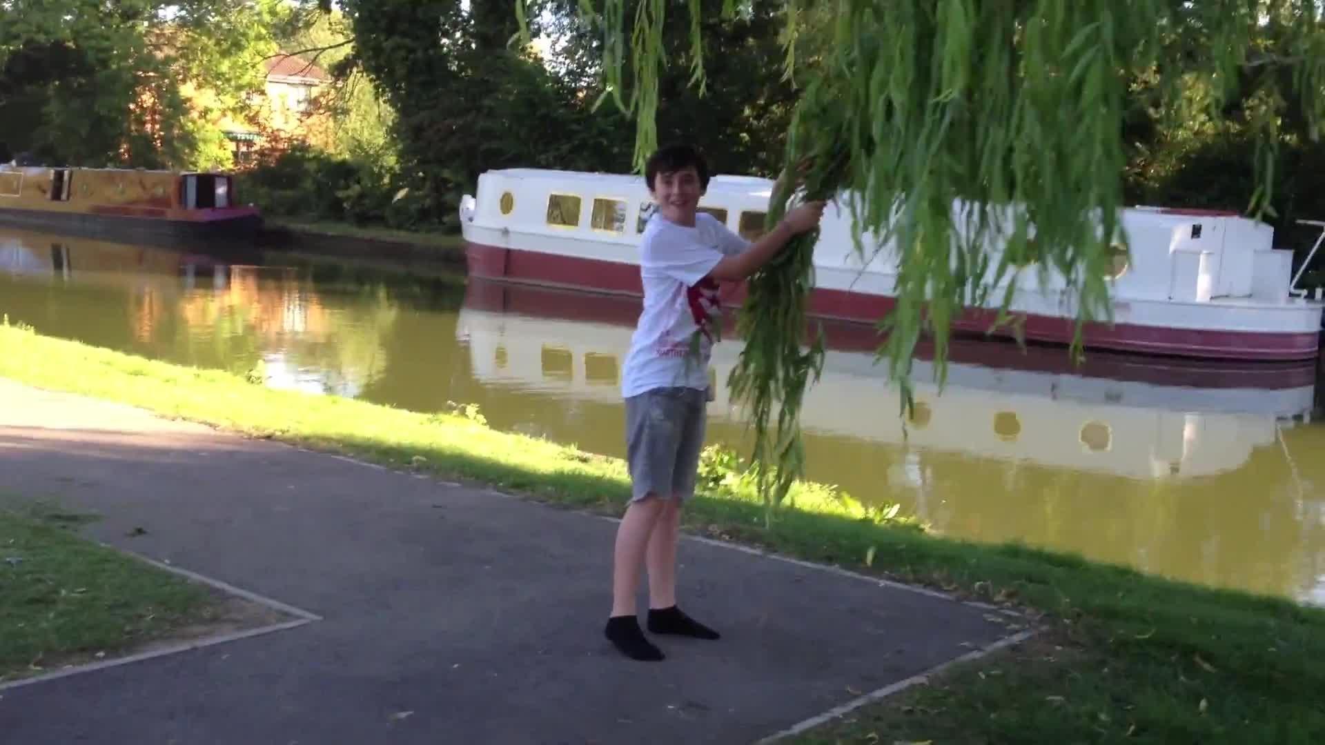 Weeping Willow Branch Swing Fail | Jukin Licensing