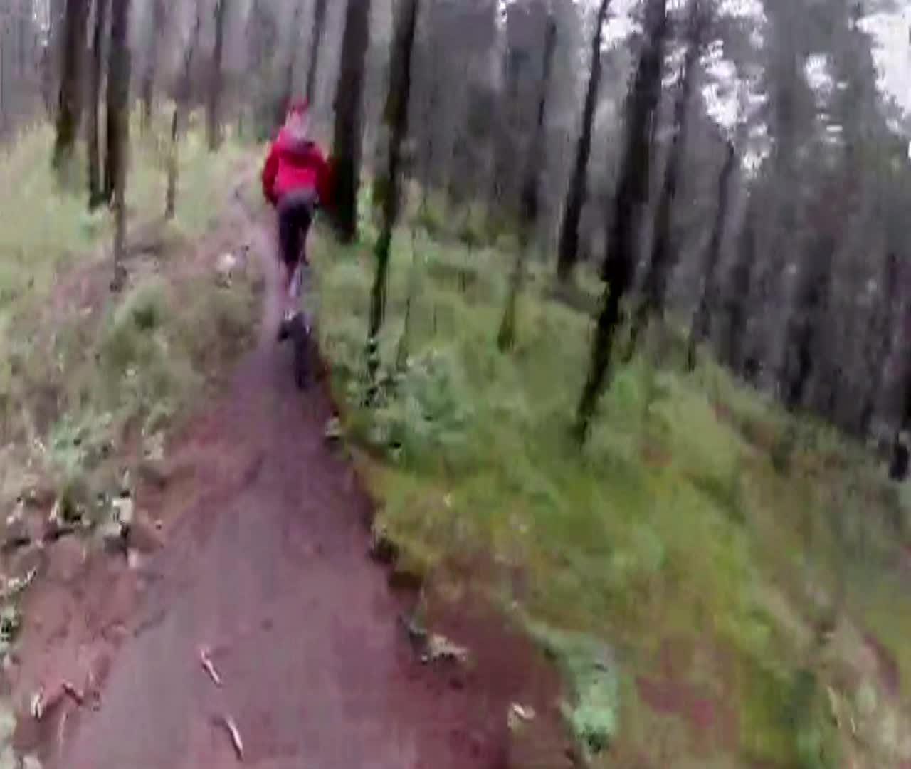 Bike Faceplant In Woods | Jukin Licensing