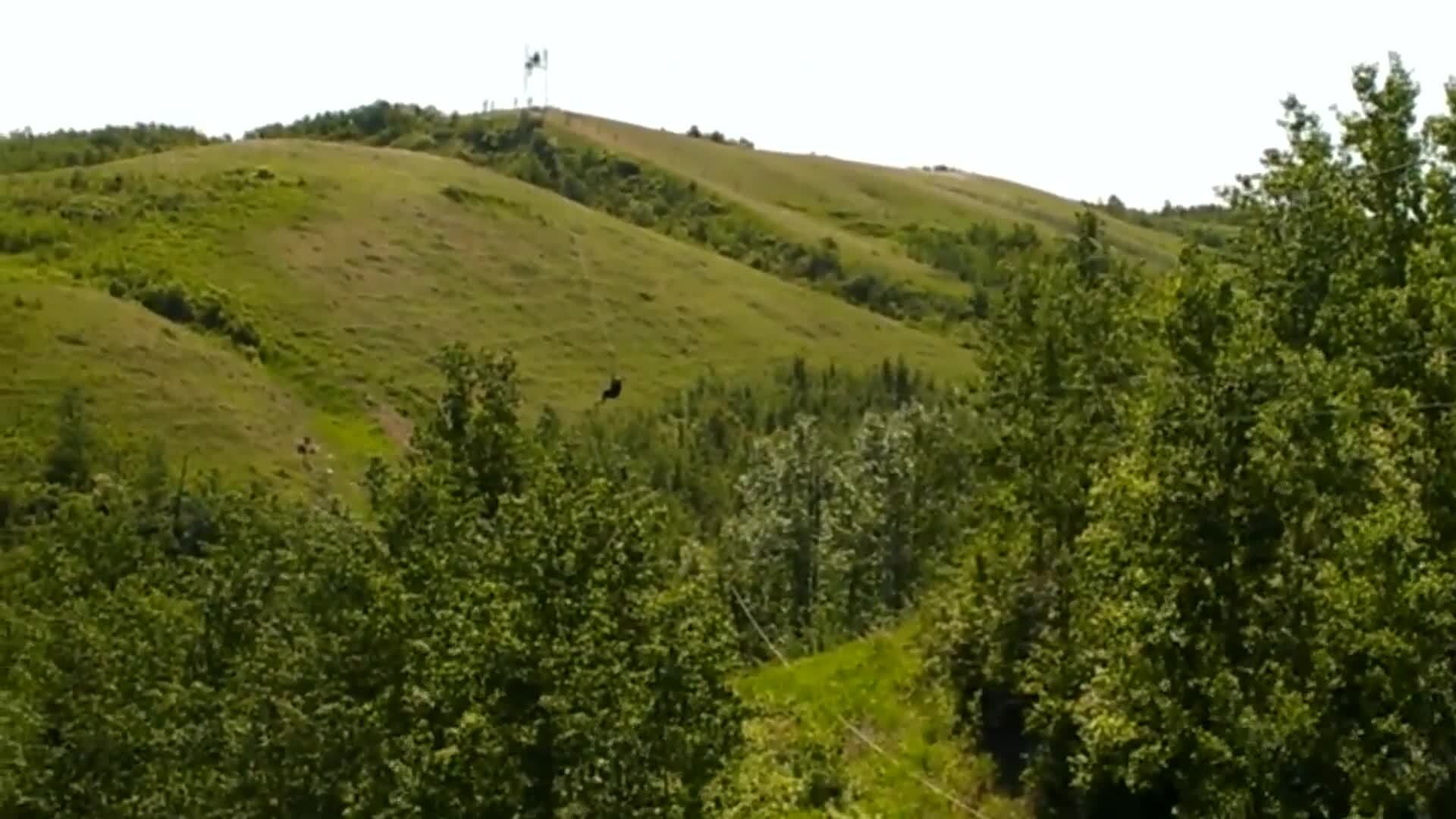 Zip Line Crash | Jukin Licensing