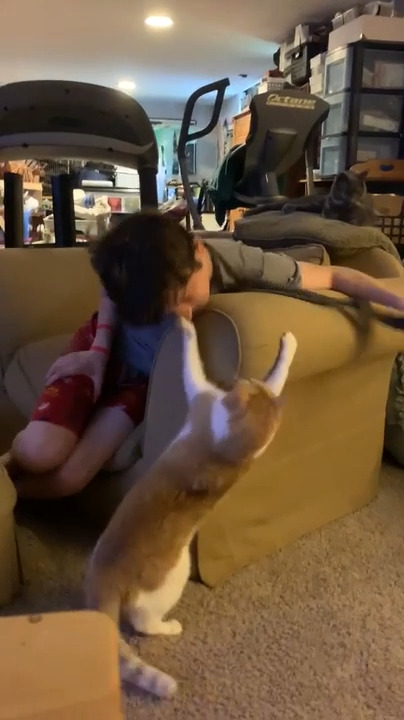 Cat Hits Owner in Face | Jukin Licensing