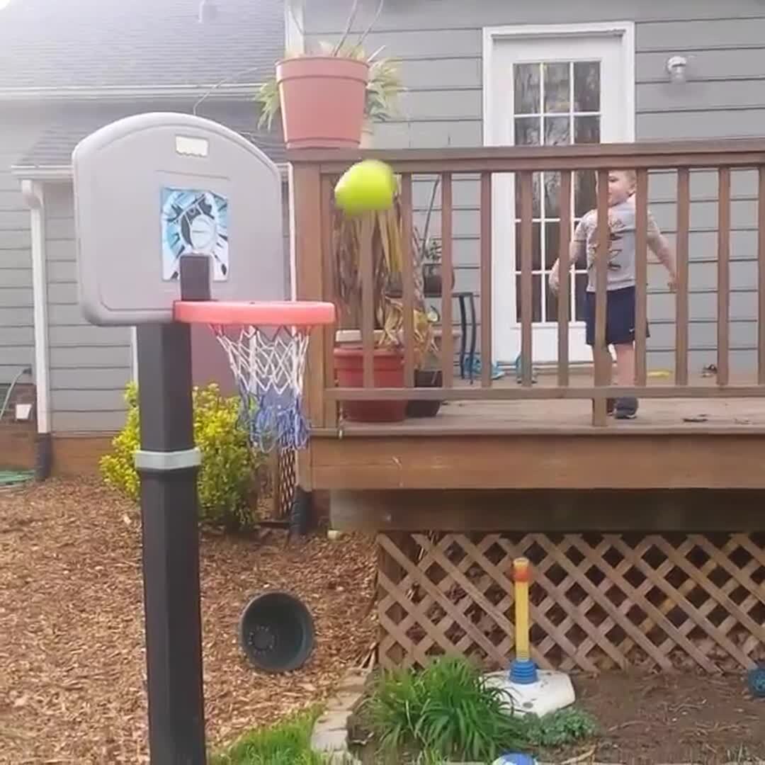 Kid Throws Different Balls into Basketball Hoop | Jukin Licensing
