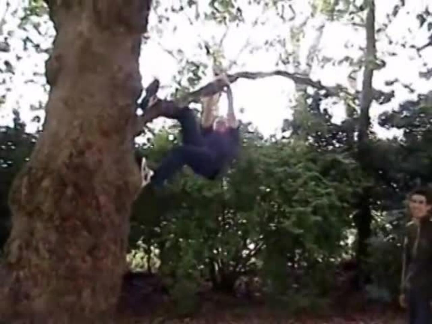 Guy Climbing Tree Breaks Branch and Falls | Jukin Licensing
