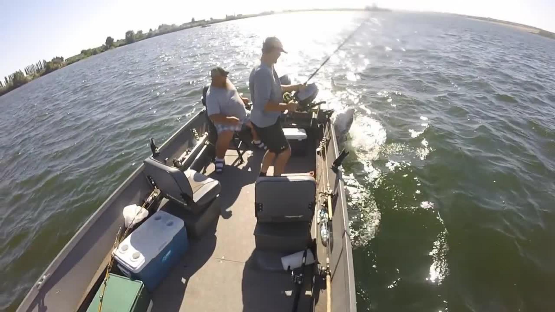 10 Foot Fish Almost Jumps on Boat | Jukin Licensing