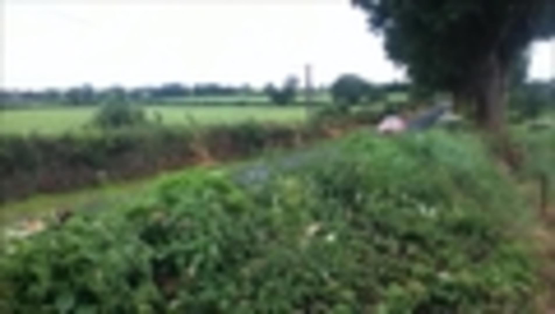 Subaru Crashes During Rally Car Race | Jukin Licensing