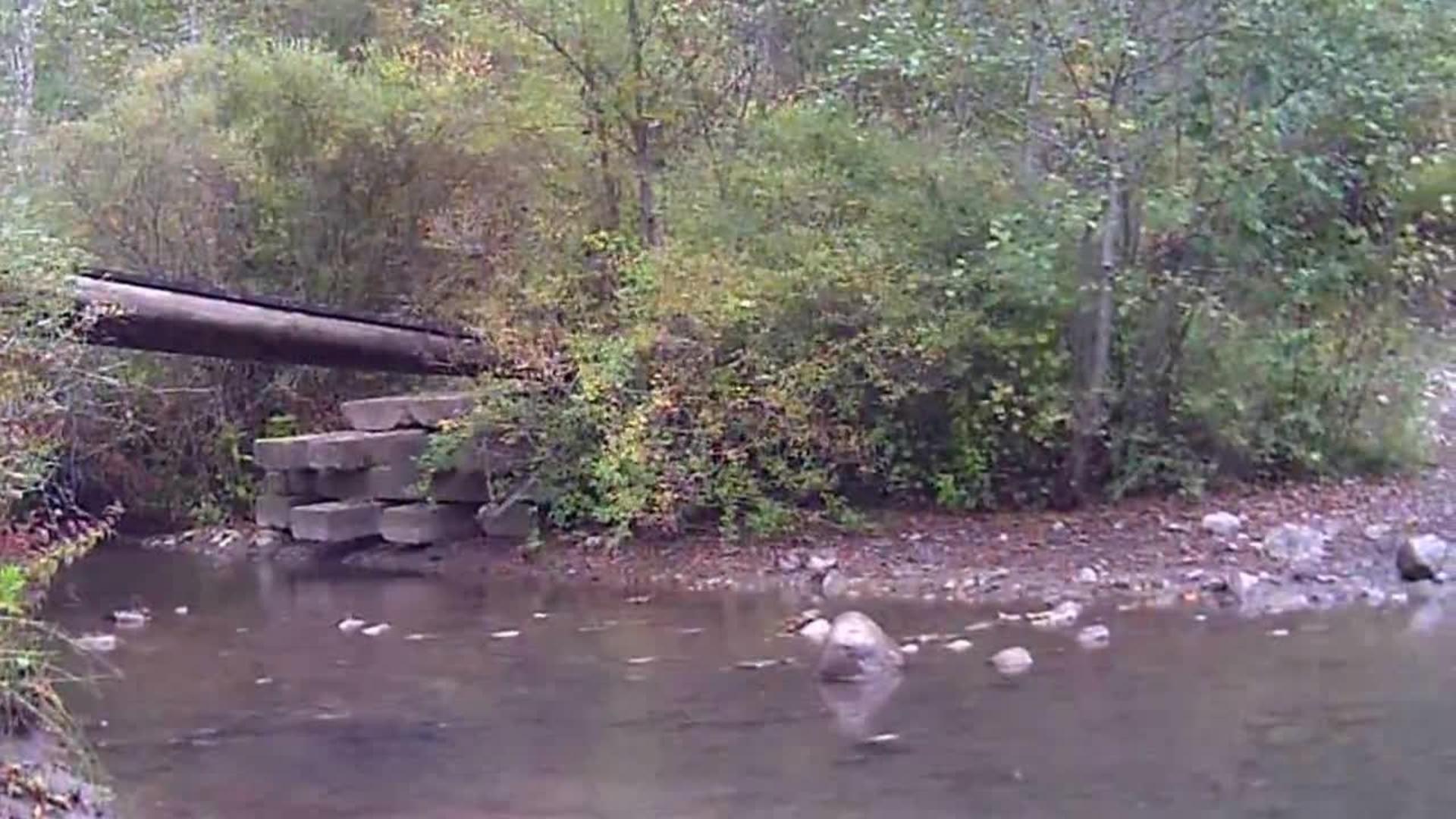 Dirt Bike Rider Fails at Crossing Creek | Jukin Licensing