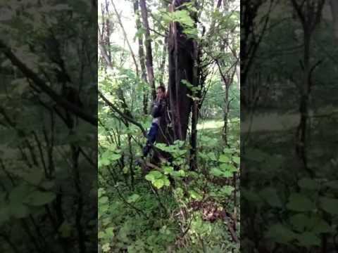 Guy Swinging on Vine Crashes into Tree | Jukin Licensing