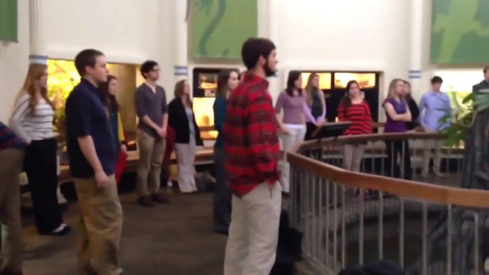 Choir Sings in Reptile Exhibit in Zoo | Jukin Licensing