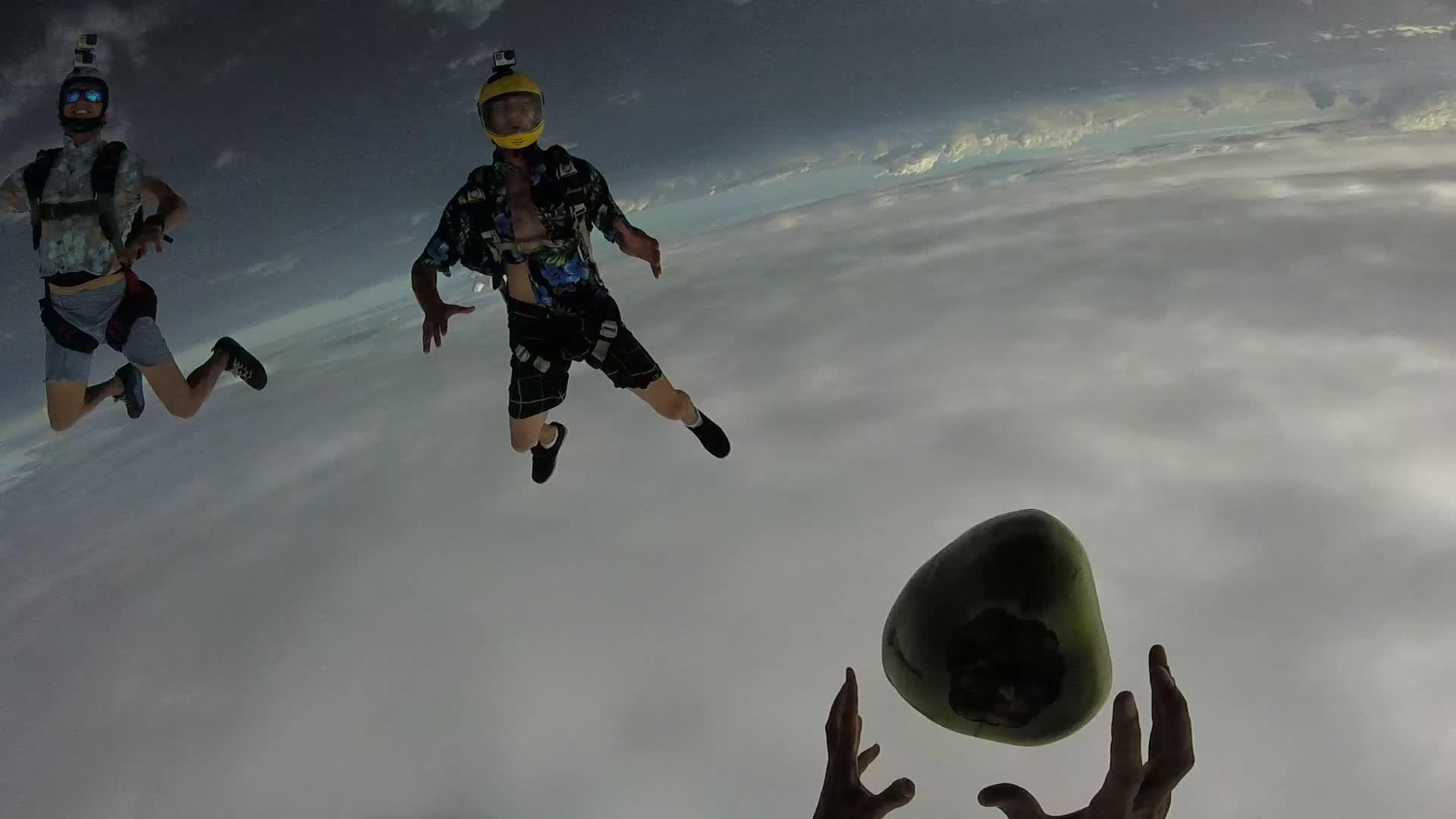 Skydivers Toss Coconut Midair | Jukin Licensing