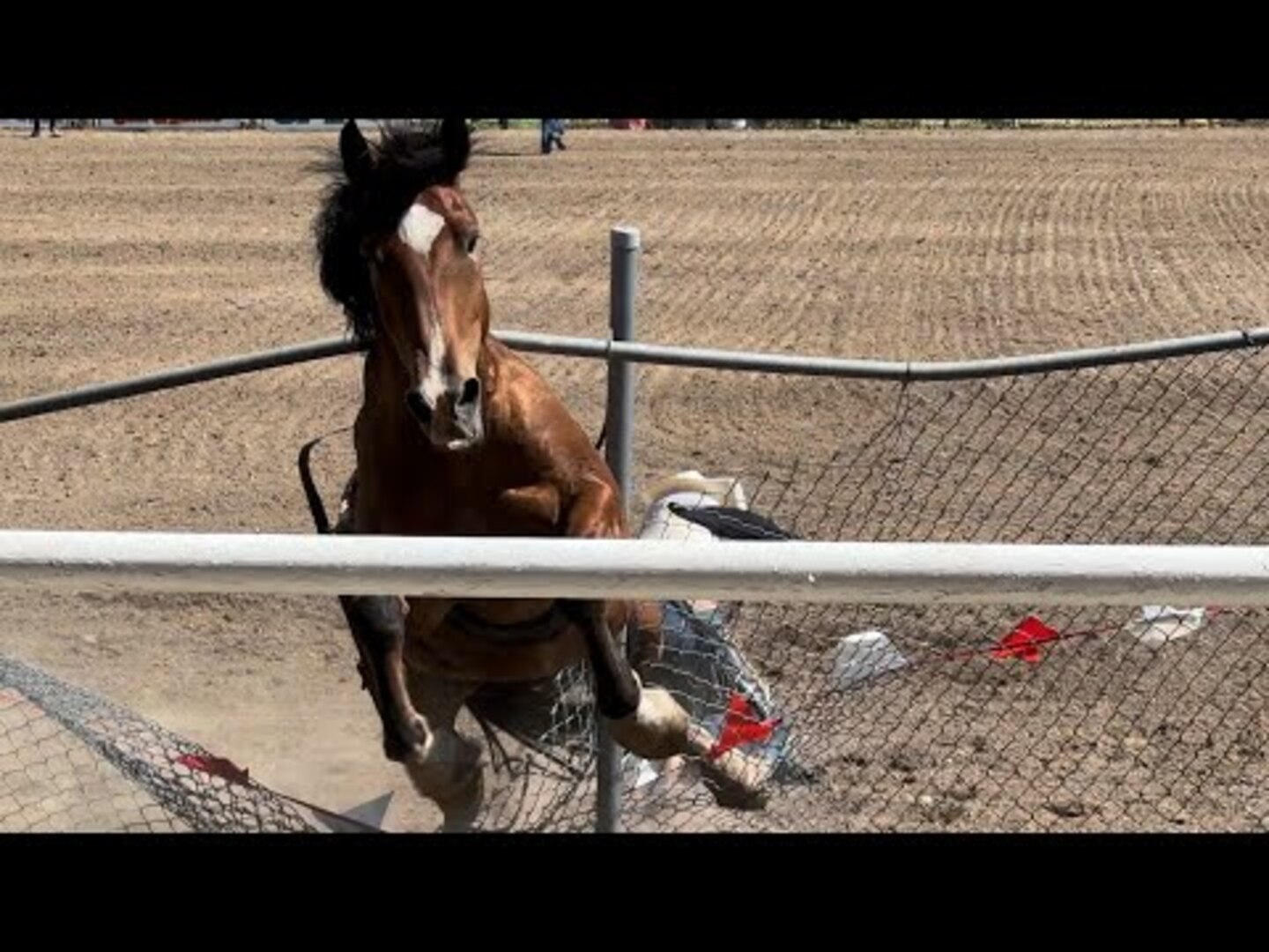 Horse Runs Through Fence During Rodeo | Jukin Licensing