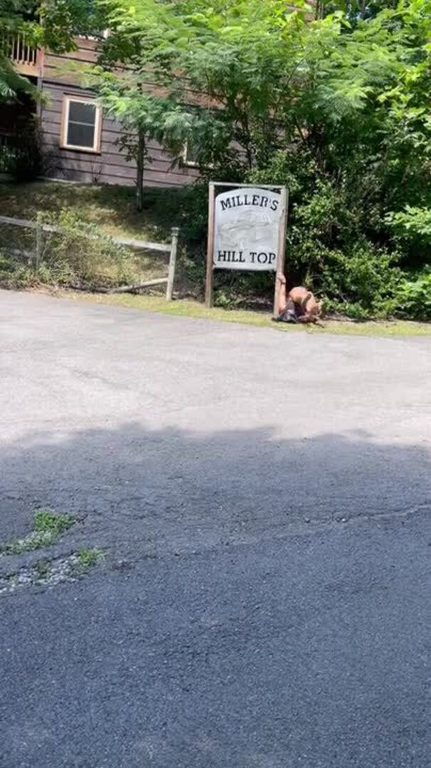 Women Falls Into Bushes While Attempting Handstand | Jukin Licensing