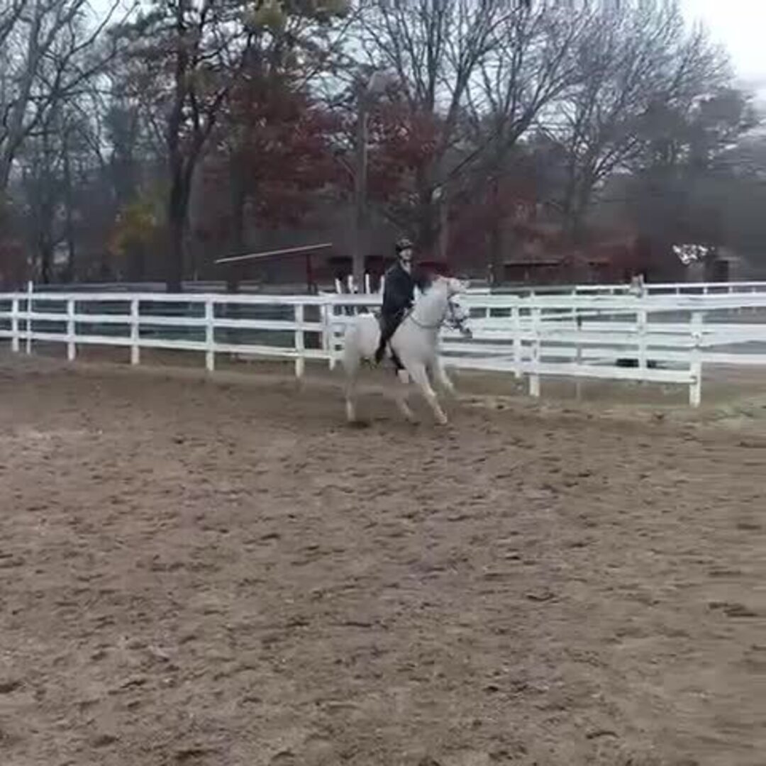 Girl Gets Bucked Off by Her Horse | Jukin Licensing