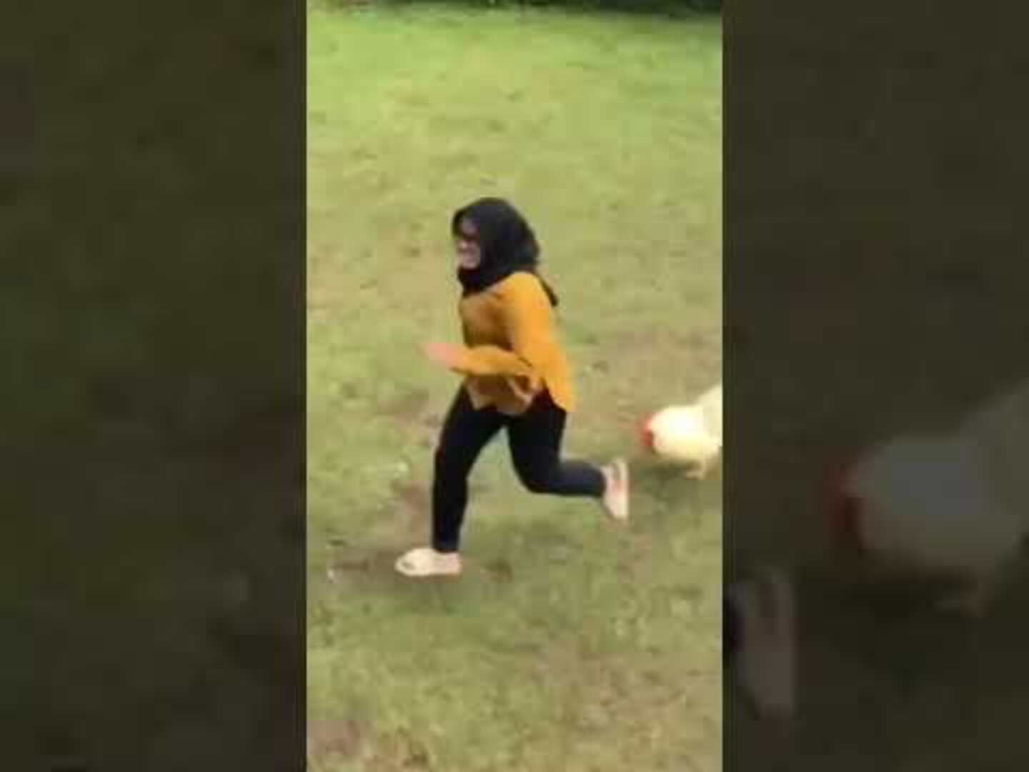 Girl Gets Chased by Chicken | Jukin Licensing