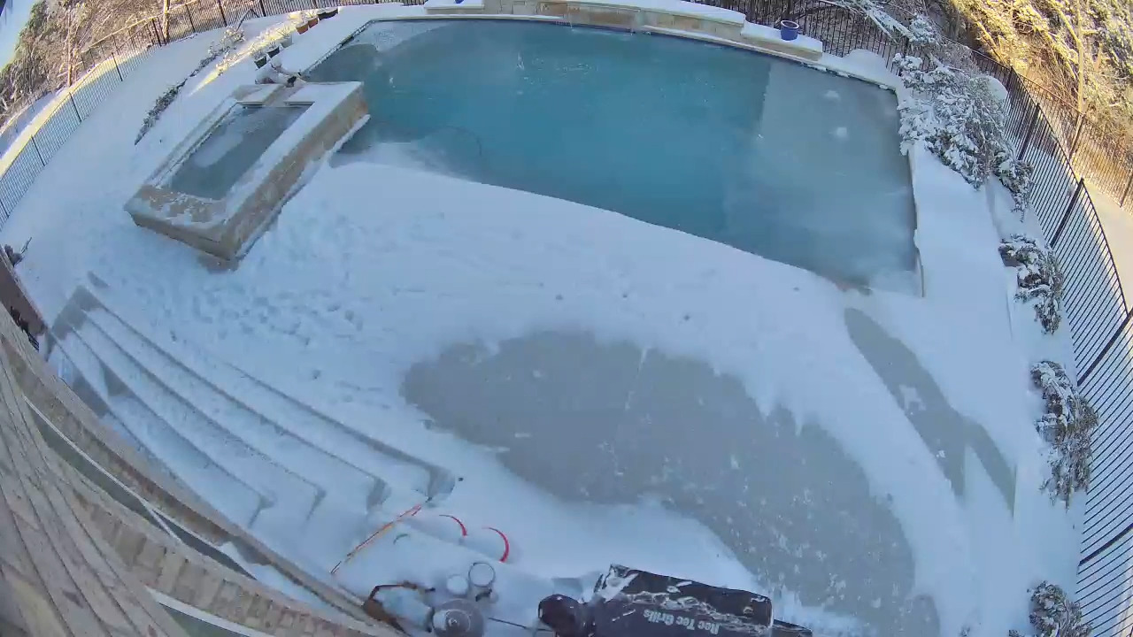 Person Saves Dog After They Walk Into Icy Pool During Cold Weather ...