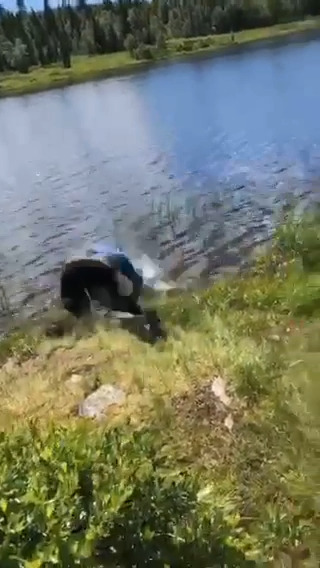 Man Falls in Water While Fishing | Jukin Licensing
