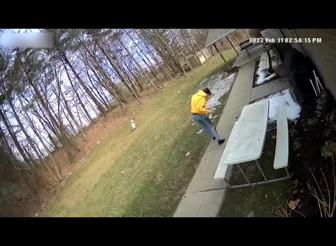 Boy Slips and Falls While Walking His Dog | Jukin Licensing