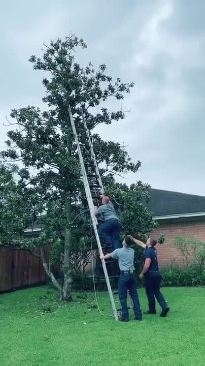 Fire Department Rescues Girl Stuck in Tree | Jukin Licensing