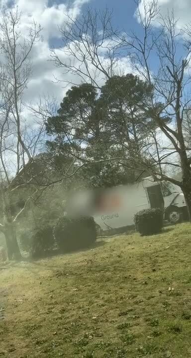Pollen-Filled Tree Falls Directly Upon Oncoming Courier Truck | Jukin ...