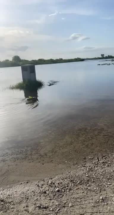 Alligator Attacks Remote Control Boat in Florida, USA | Jukin Licensing