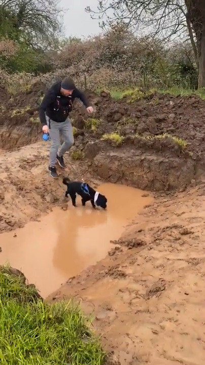 Dad Attempting Obstacle Course With Dog Slips and Falls in Puddle ...