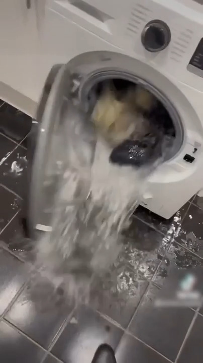 Washing Machine Breaks Open and Floods Entire Floor | Jukin Licensing
