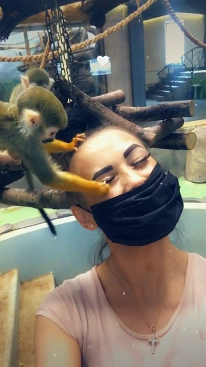 Rambunctious Monkey Snatches Eyelash Extension | Jukin Licensing