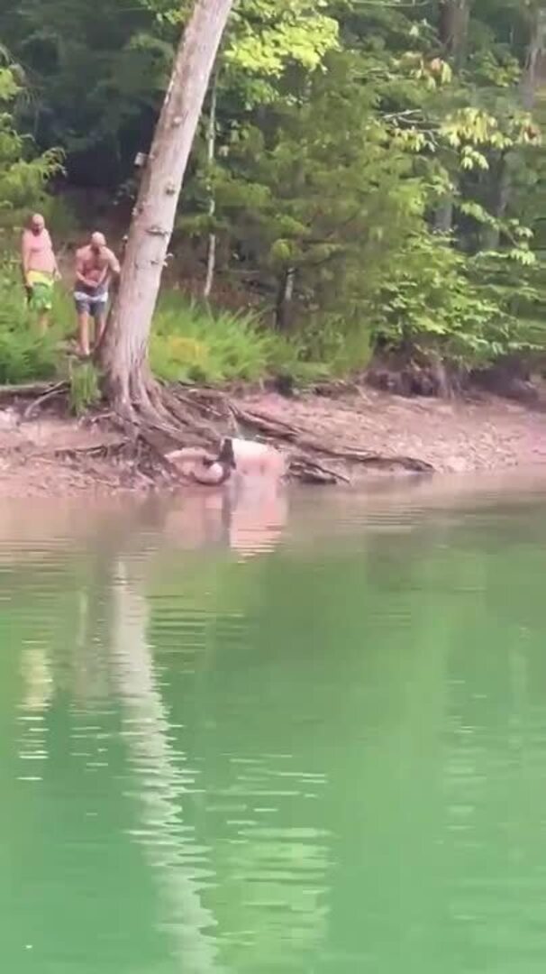 Person Has Painful Fall From Rope Swing | Jukin Licensing