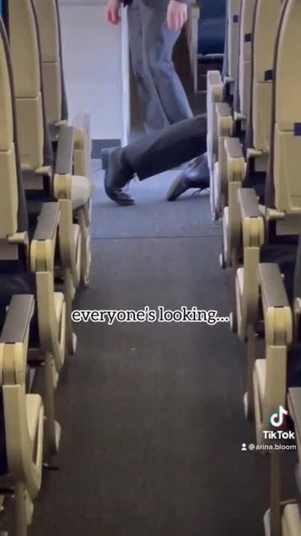 Flight Gets Delayed as Crew Searches For Pigeon Inside Airplane | Jukin ...