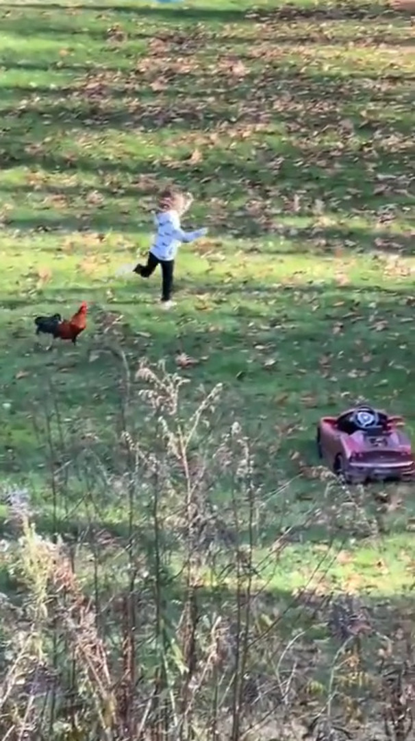 Girl Gets Chased by Rooster After Teasing Him | Jukin Licensing
