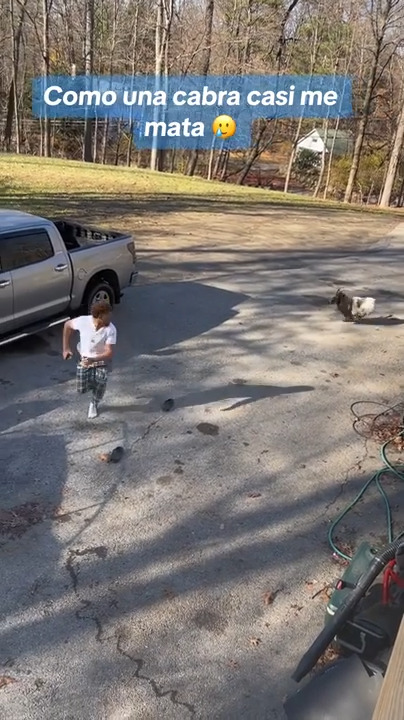 Goats Chase Man Around House | Jukin Licensing