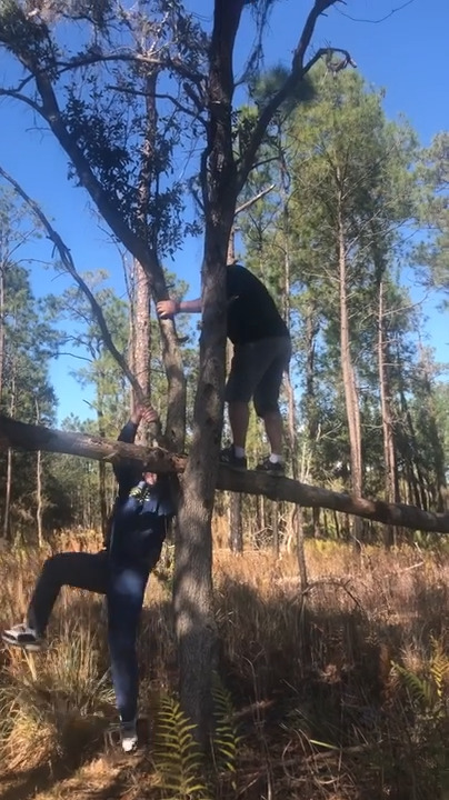 Guy Climbing Tree Falls Upside Down When Branch Breaks | Jukin Licensing