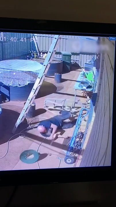 Person Falls Off Ladder While Building Pergola Over Their Garden ...