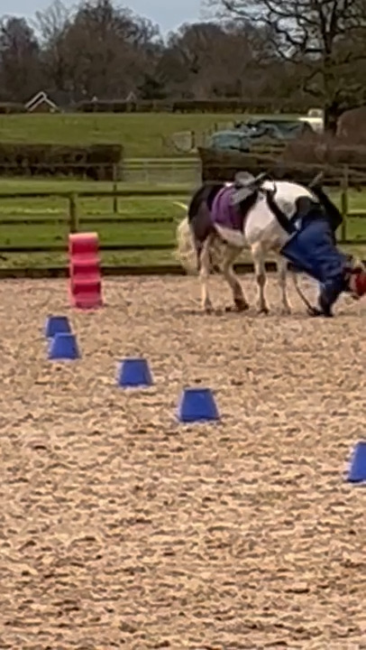 Girl Falls off Horse While Riding Through Slalom Course | Jukin Licensing