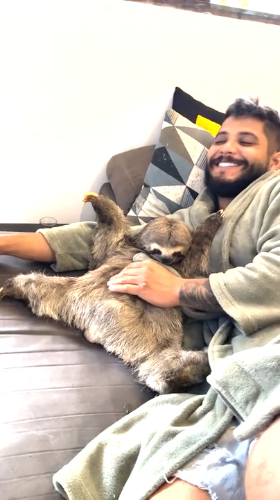 Sloth Watches TV With Man | Jukin Licensing