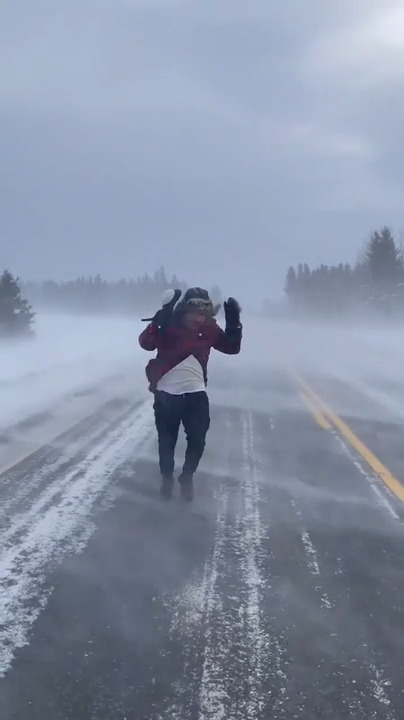 Person Struggles to Walk in Windy Weather During Storm in Canada ...